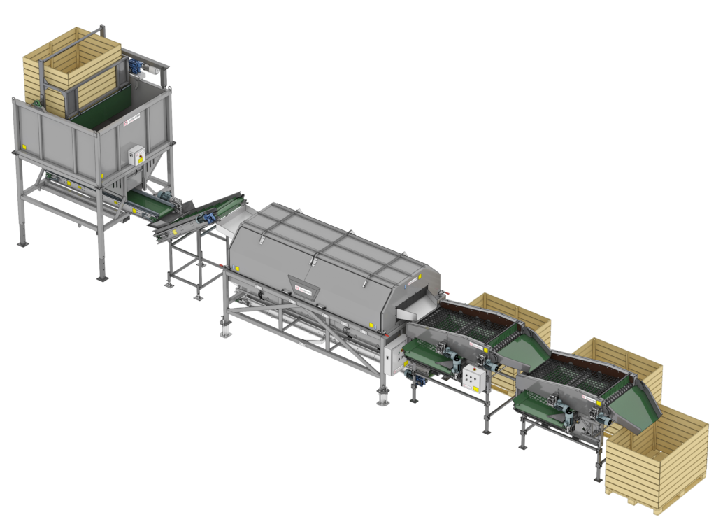 Sortowanie cebuli - DOMASZ