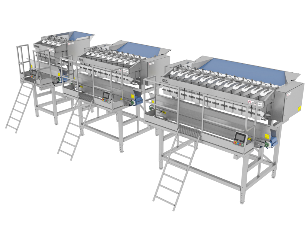 Multihead weighers - DOMASZ